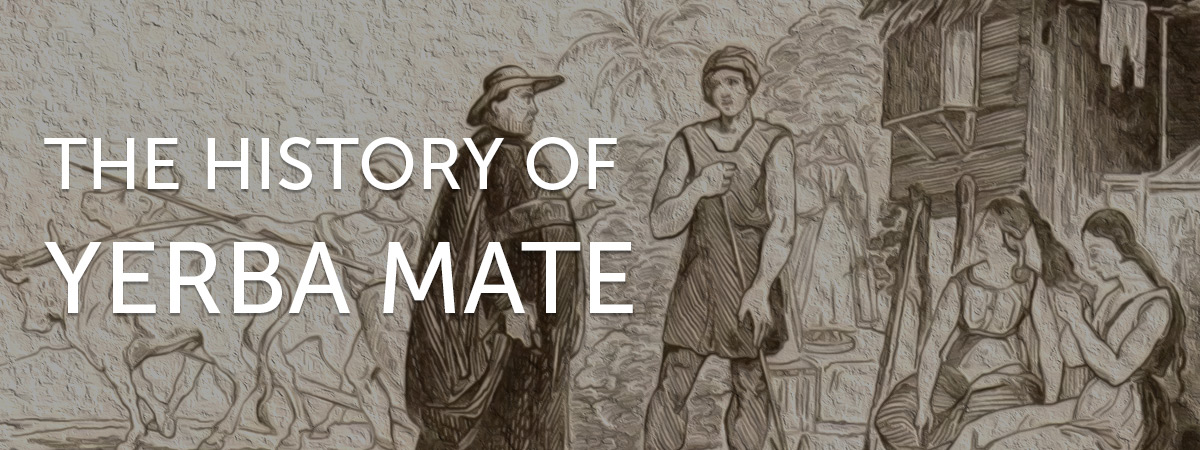 The History of Yerba Mate | Native Leaf