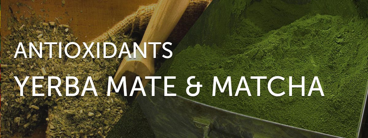 Antioxidants in Yerba Mate and Matcha Tea | Native Leaf